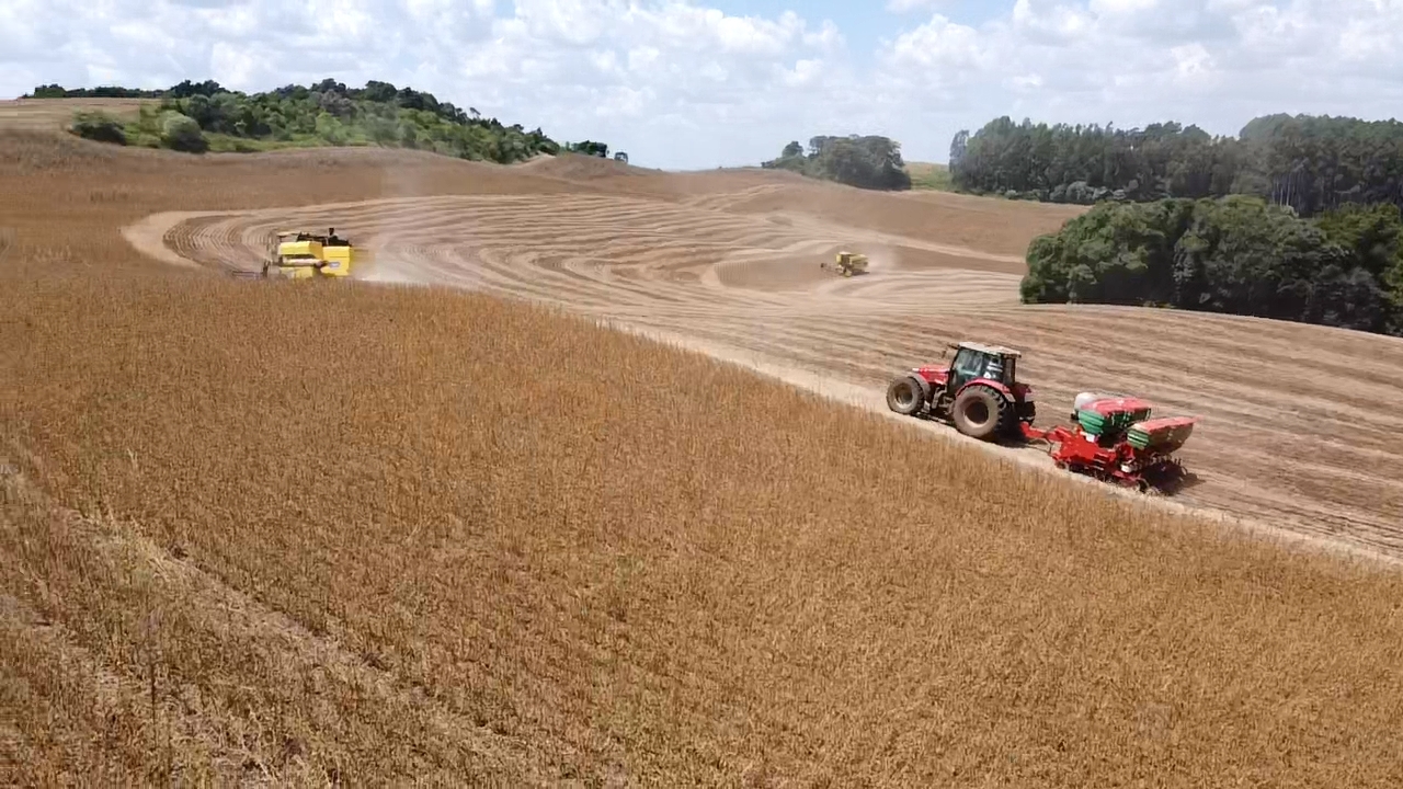 É época de colheita! - Caslo